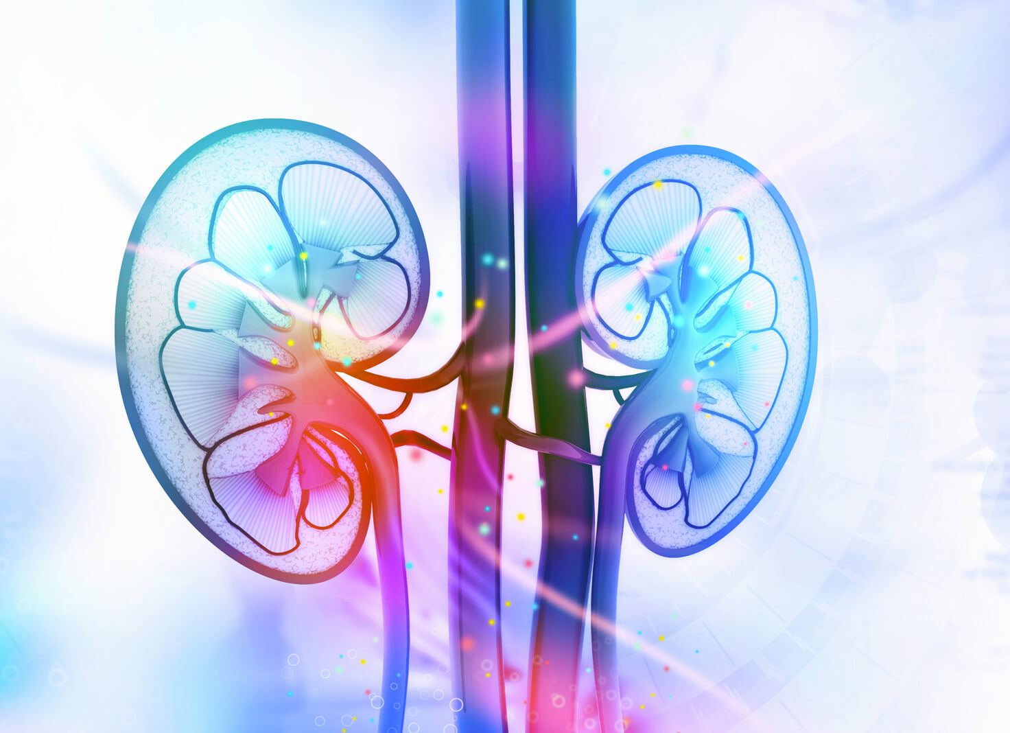 How to Prevent Kidney Disease - Urology Hospital